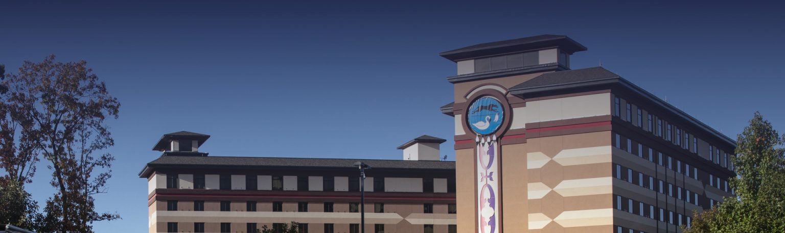 Contact Us – Indigo Sky